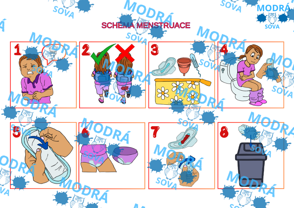 Schéma menstruace - použití vložky | Modrá sova | letíme za vzděláním